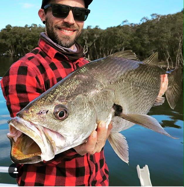Mulloway Fish - Do you know everything about Mulloway? – Mulloway ...